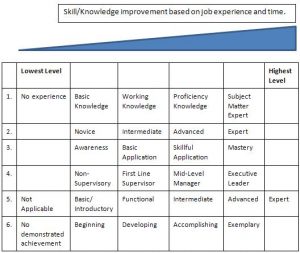 Proficiency Levels and Proficiency Indicators - Part 2 of 3 - RISC INC